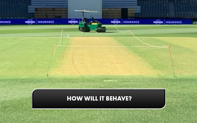 Perth rolls out pitch for first Test between Australia and Pakistan